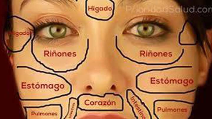 Esto es lo que dice tu rostro sobre la salud de tus órganos internos ...